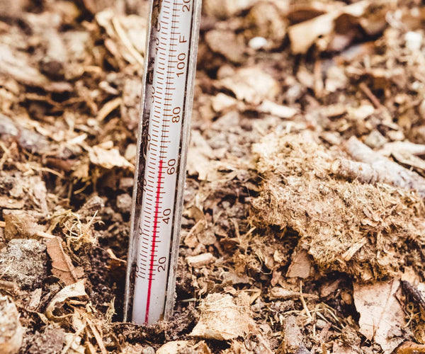 Voici comment mesurer la température du sol | ÉCOstyle 🌡️ – ECOstyle ...