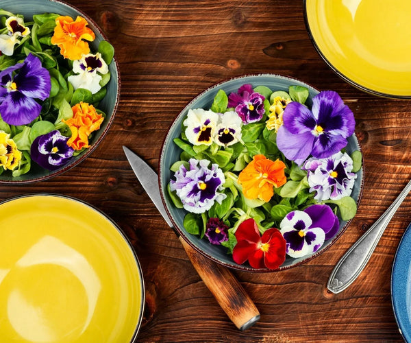 10 fleurs comestibles – Égayez votre assiette avec des fleurs 🌸 ...