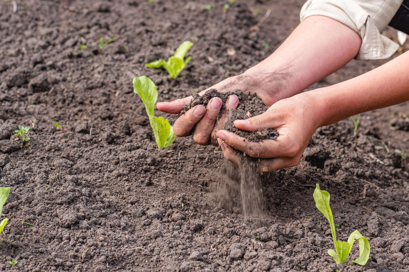 Moestuin aanleggen in 4 stappen | ECOstyle 🥬 – ECOstyle Belgium