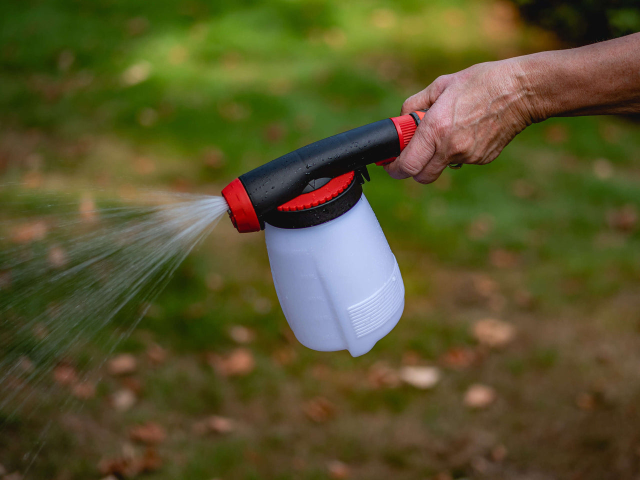 Aaltjes op blad gebruiken - ECOstyle – ECOstyle Belgium