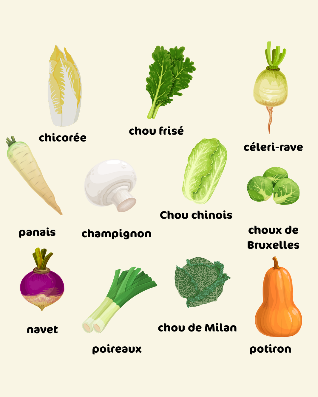 Légumes de saison de décembre | ECOstyle – ECOstyle Belgium