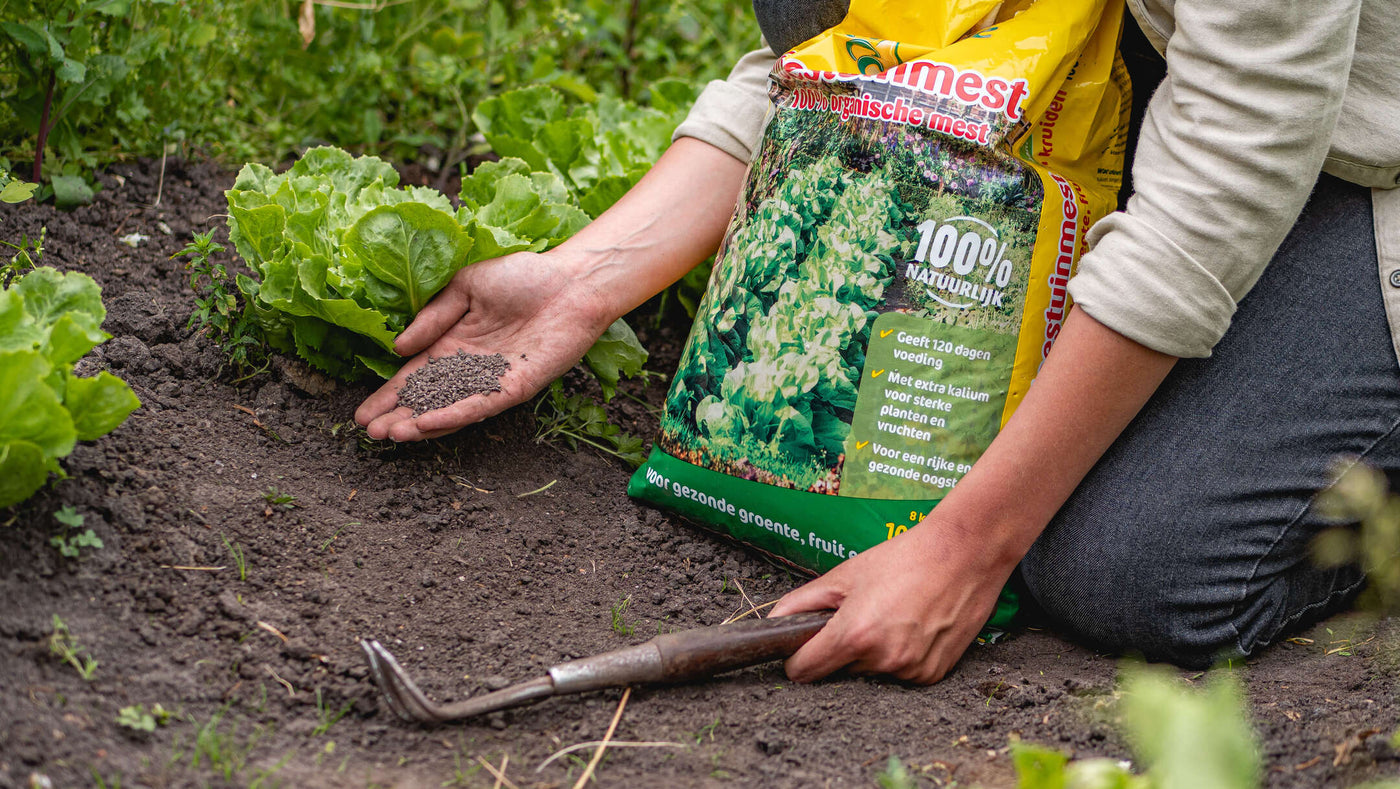 Zaaien, kweken en oogsten in de moestuin | ECOstyle – ECOstyle Belgium