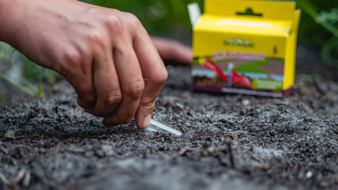Zuurtegraad van een gezonde bodem | ECOstyle – ECOstyle Belgium