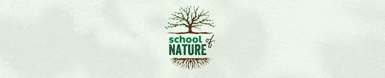 Welkom bij de ECOstyle School of Nature 🐝 | ECOstyle – ECOstyle Belgium