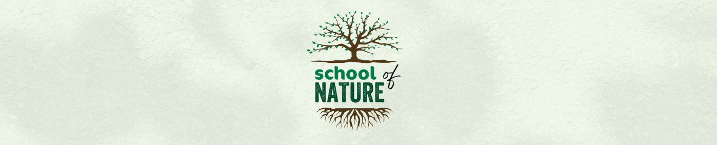 Welkom bij de ECOstyle School of Nature 🐝 | ECOstyle – ECOstyle Belgium